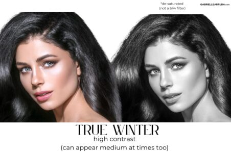 True Winter Seasonal Color: Ultimate Guide {cool winter} - Gabrielle Arruda