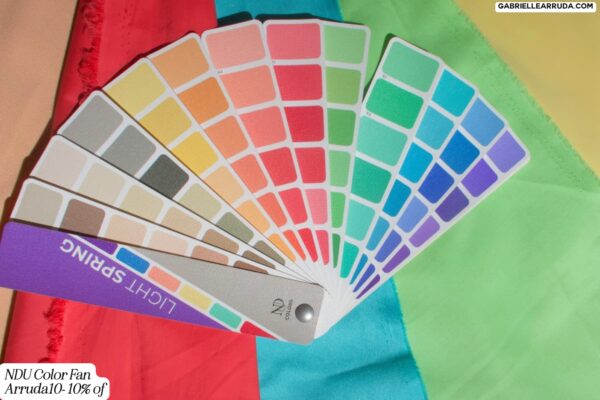 The Light Spring Seasonal Color Guide | Gabrielle Arruda